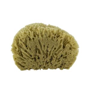 The Natural Yellow Sea Sponge 6"-7" - Acme Sponge Company