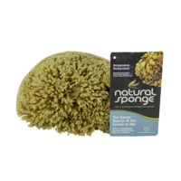 The Natural Yellow Sea Sponge 6"-7" - Acme Sponge Company